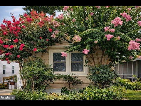 11283 MOBILE DRIVE | FAIRFAX Real Estate
