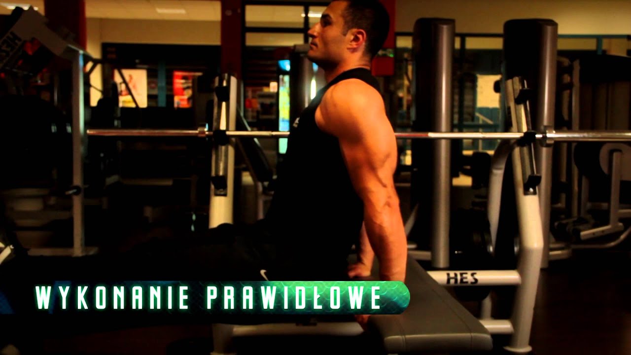 Trening tricepsów - odwrotne pompki - Atlas Ćwiczeń SFD - YouTube