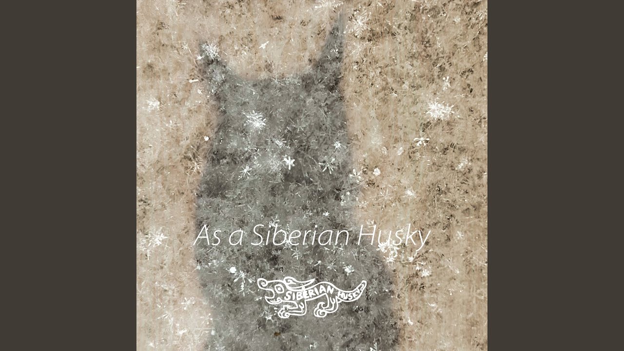 As a Fickle Cat - YouTube