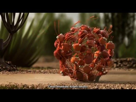 Değerler Eğitimi: İyilik ve Yardımseverlik