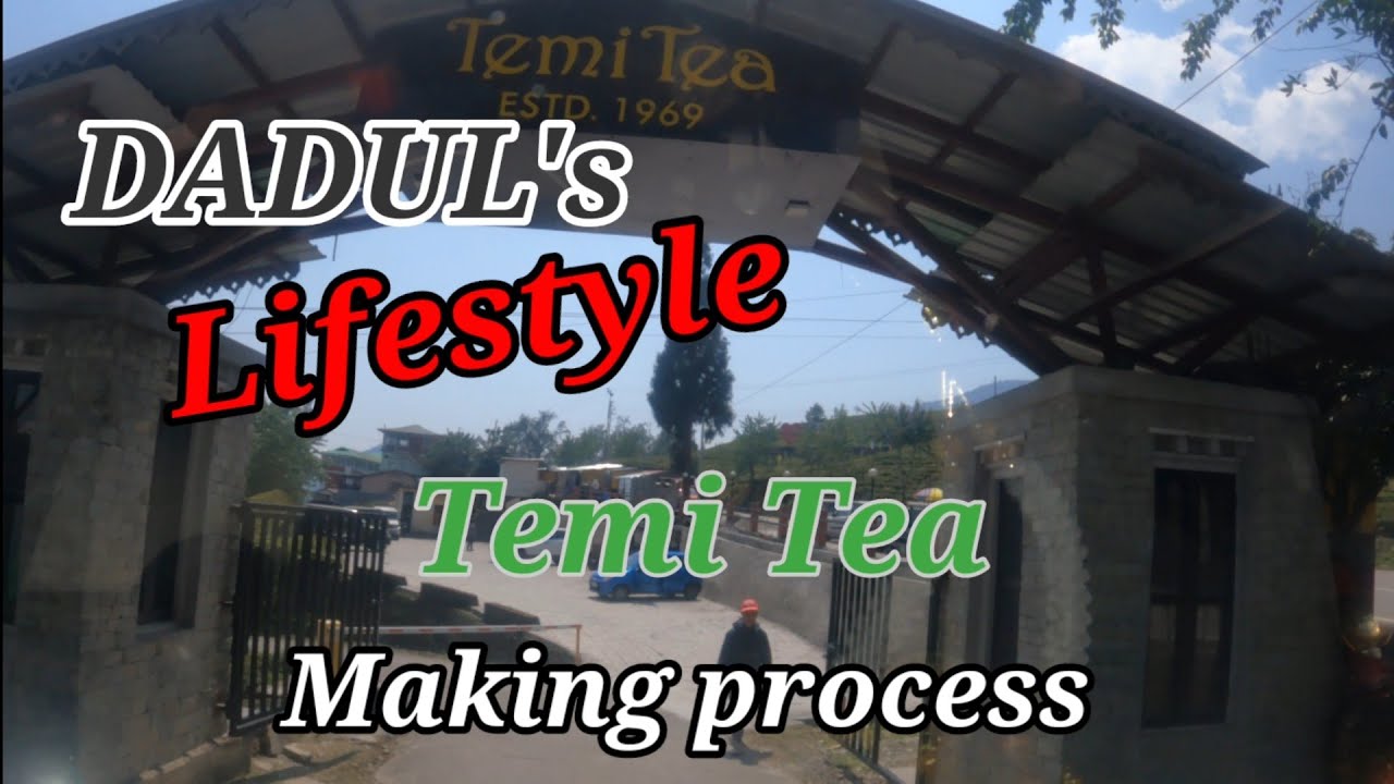 DADUL's Lifestyle Temi Tea making process ।। টেমী চা প্রস্তুত পদ্ধতি ...