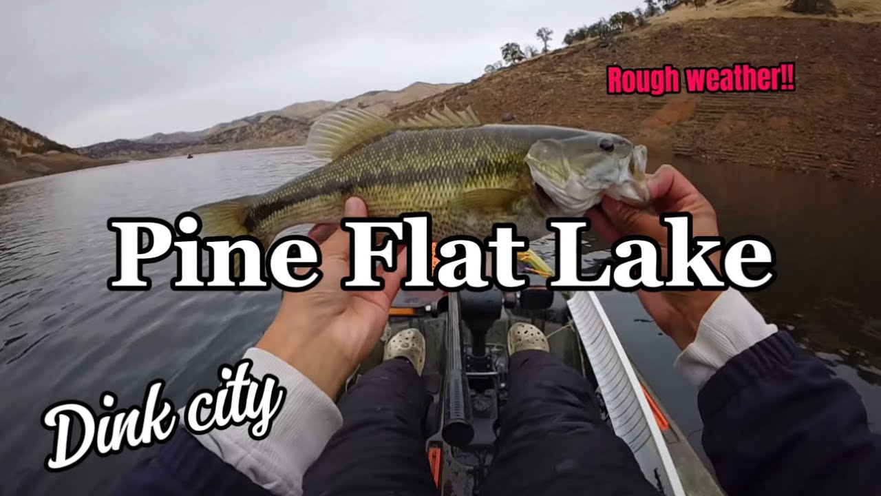 Pine Flat Lake Fishing | Dropshot All Day - YouTube