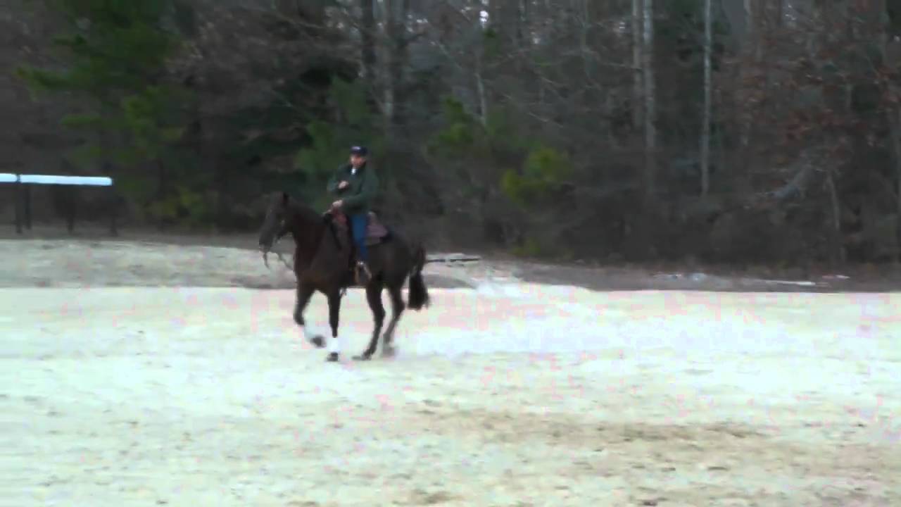 Majestic Miss Peppy-SOLD - YouTube