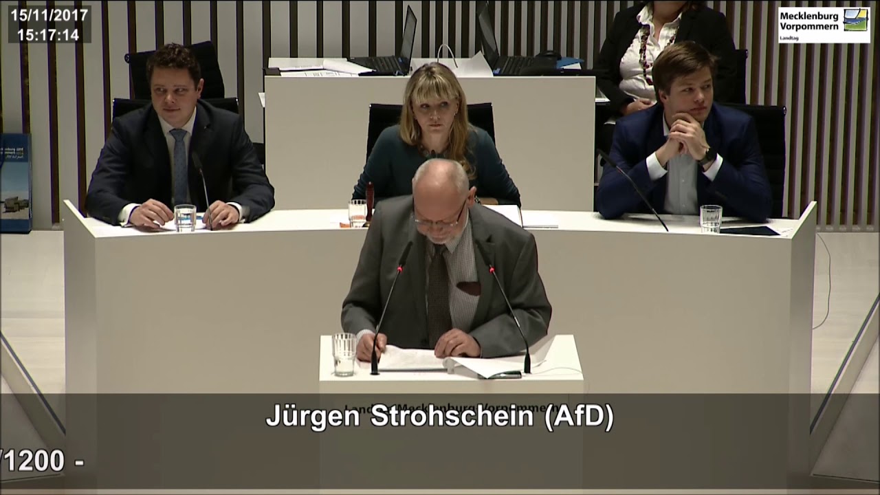 Jürgen Strohschein: Der Kormoran gefährdet den Fischbestand in MV ...
