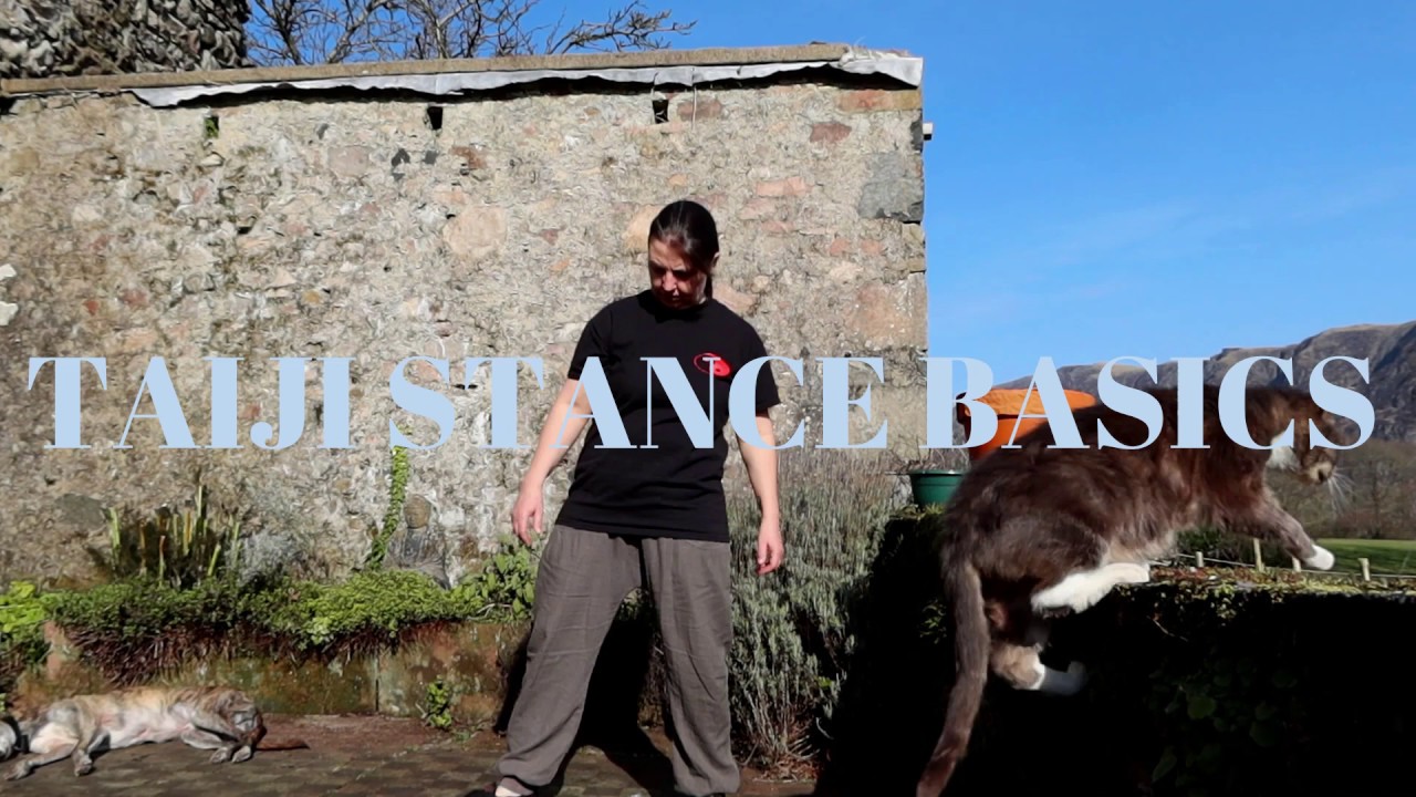 taiji basic stance - YouTube