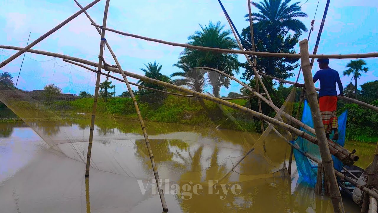 Amazing Traditional Net Fishing Trap || Net Fishing Trap|| Village Eye ...