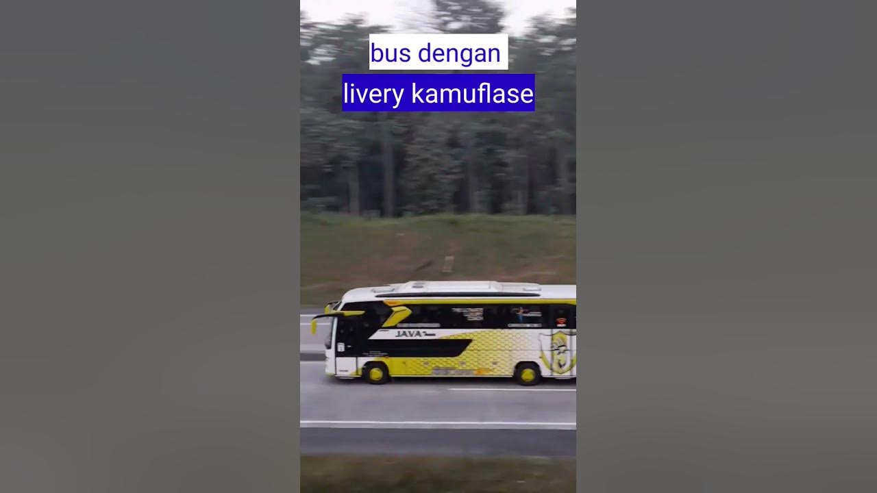 BUS JAVA TRANS MELINTAS SANTAI DENGAN SUARA MERDU #shorts - YouTube
