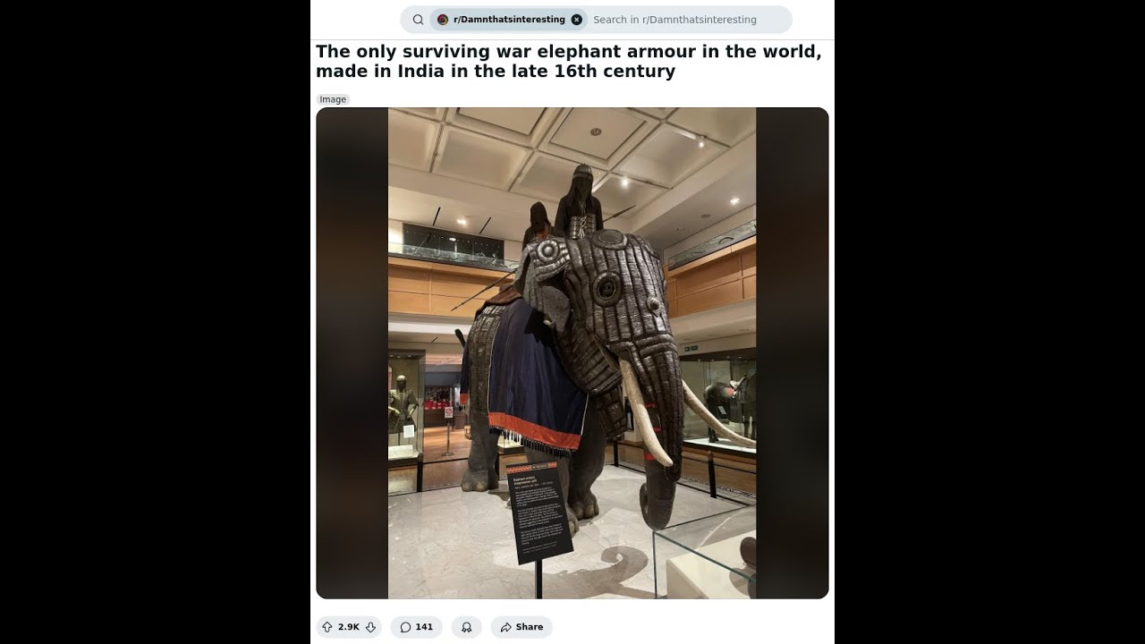 The only surviving war elephant armour in the world, made in India in ...