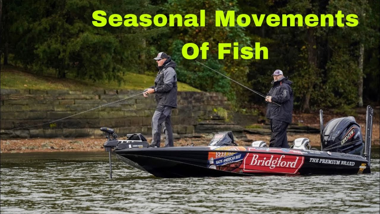 Understanding Seasonal Fish Movements For The Beginning Angler… - YouTube
