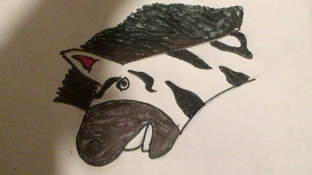 Drawing A Zebra Using Hand Art - YouTube