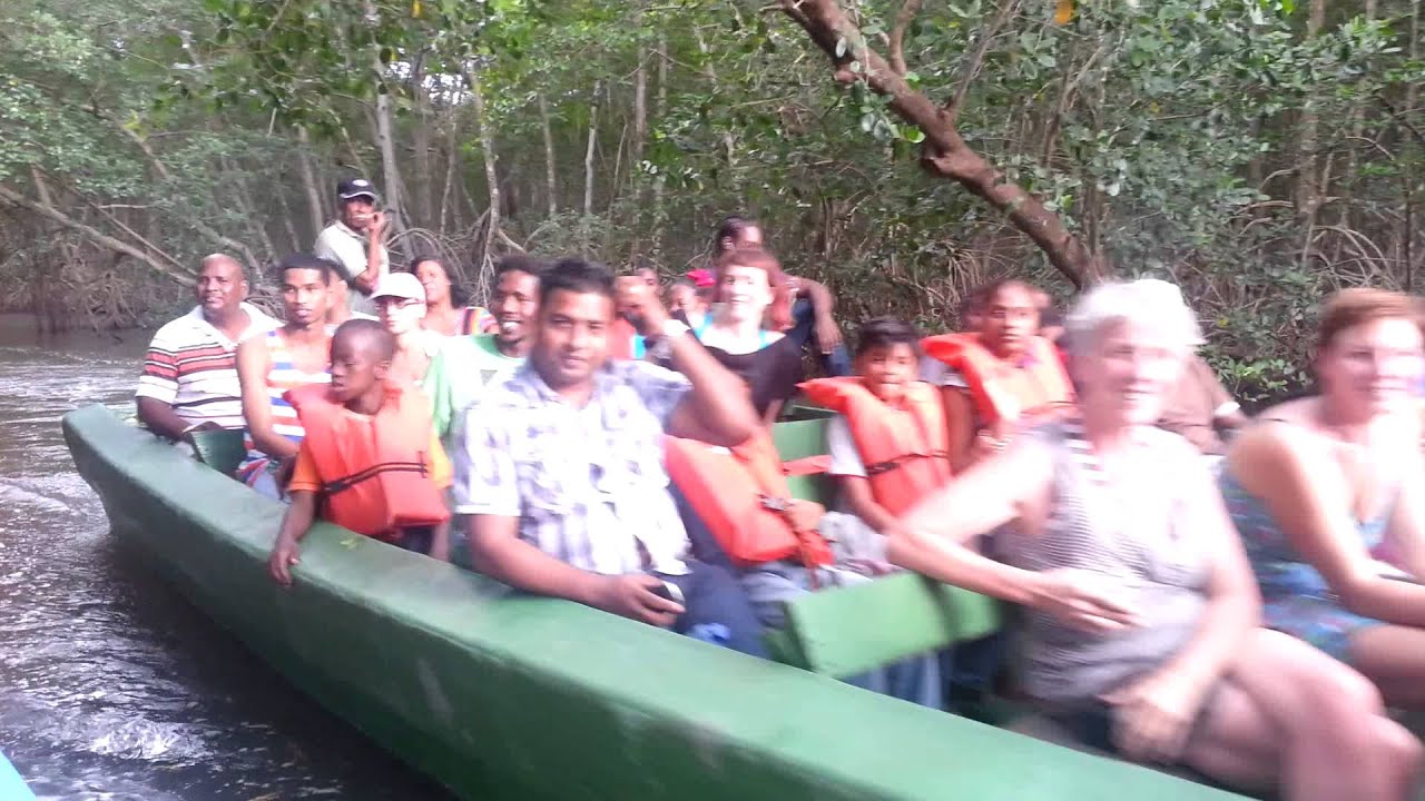 Tour boats in the Caroni Swamp, Trinidad - YouTube