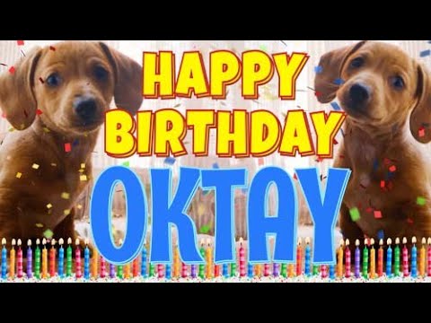Happy Birthday Oktay! ( Funny Talking Dogs ) What Is Free On My Birthday