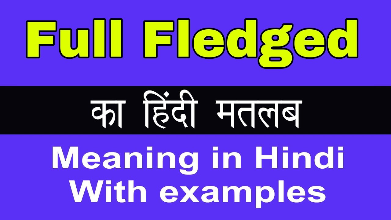 Full Fledged Meaning In Hindi Full Fledged 