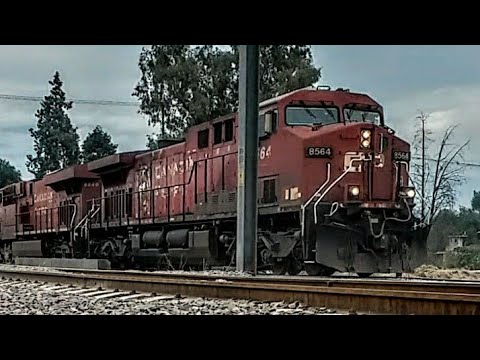 Tren colorado Cp 8564 - 8840 - YouTube