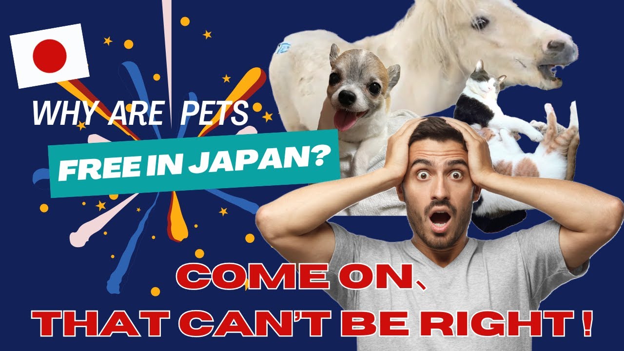 Why are pets Free in Japan ? - YouTube