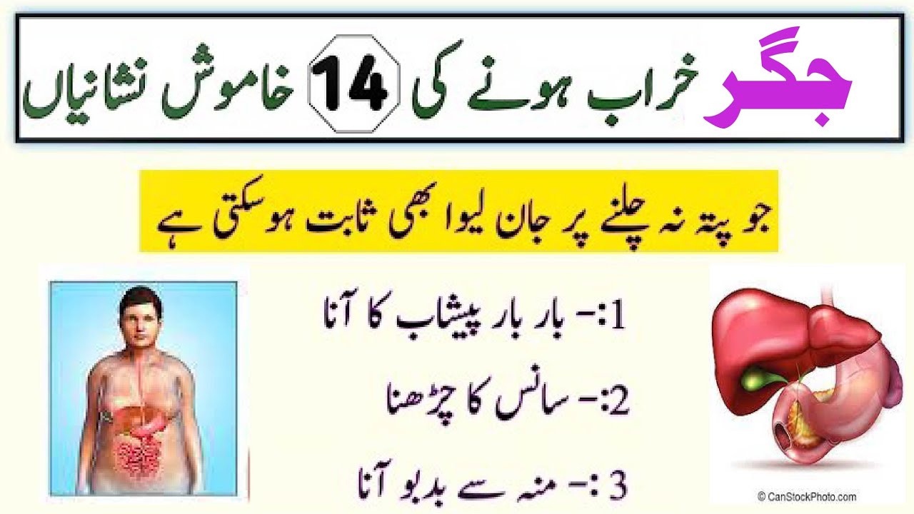 Jigar Ki Kharabi Ki Alamat Jigar Kharab Hone Ki 7 Alamat 7 Early jigar-ki-kharabi-ki-alamat-jigar-kharab-hone-ki-7-alamat-7-early