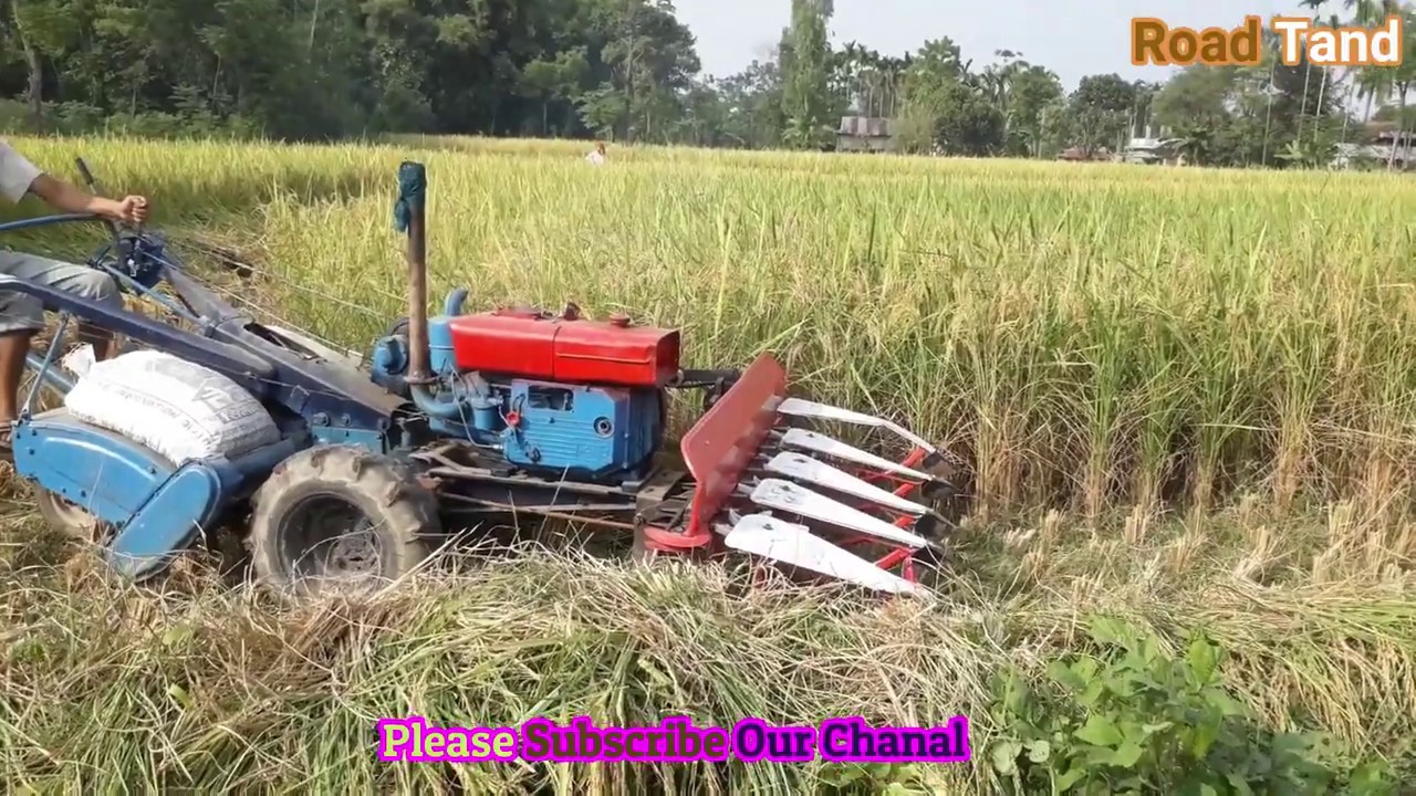 Rice cutting machine cutting rice- JCB uploading video. - YouTube
