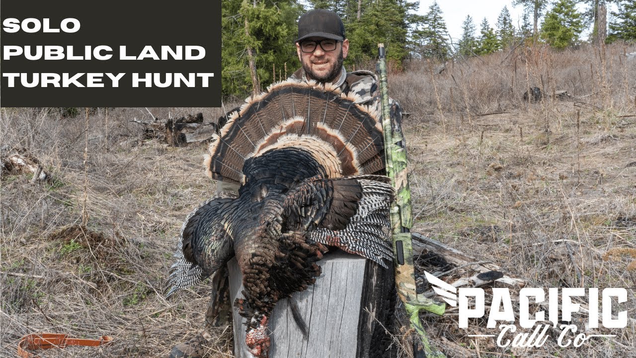 Solo Public Land Bird!- Washington Turkey Hunt - YouTube