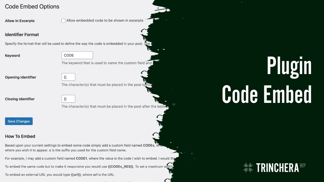 Plugin Code Embed - YouTube