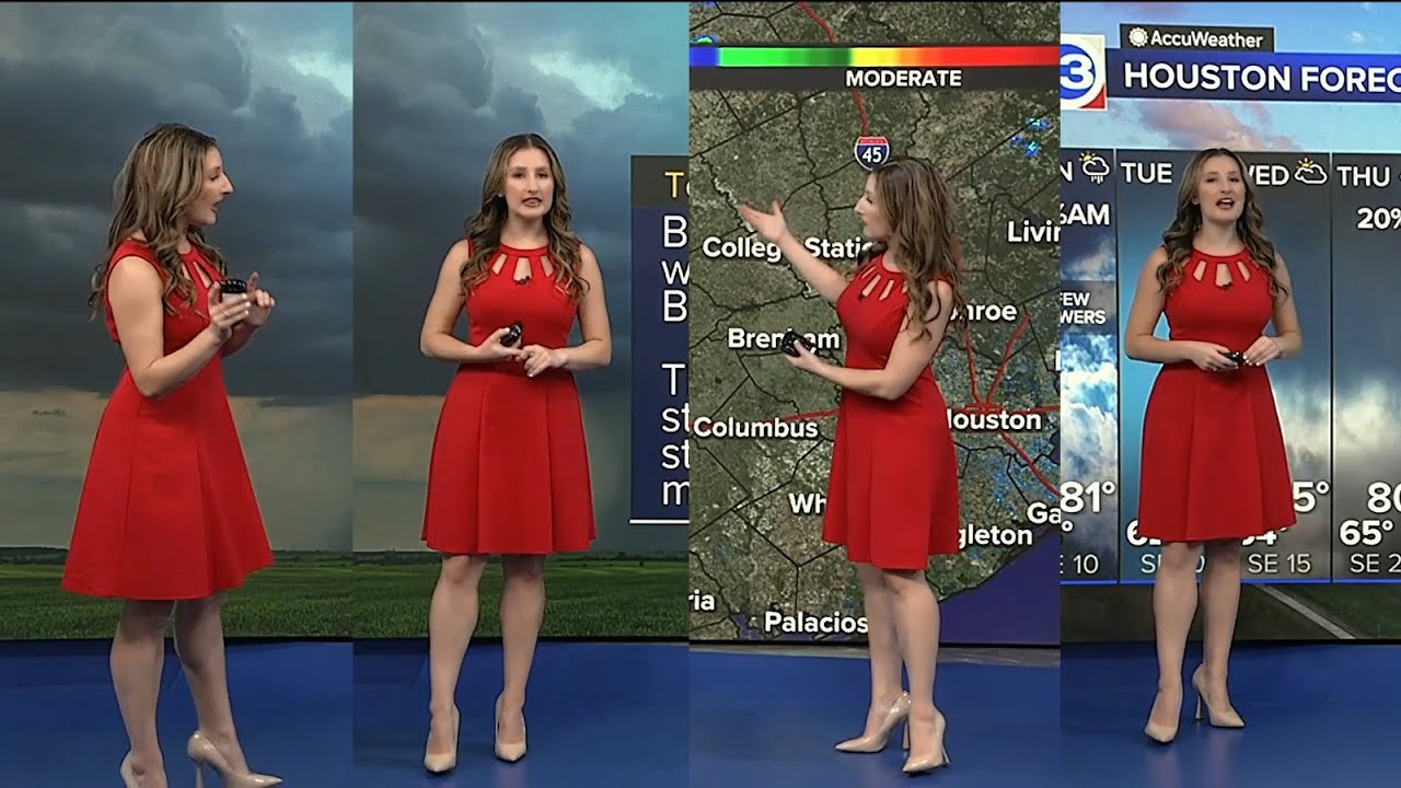 Elyse Smith with the Accuweather forecast for ABC13 Houston March 23 ...