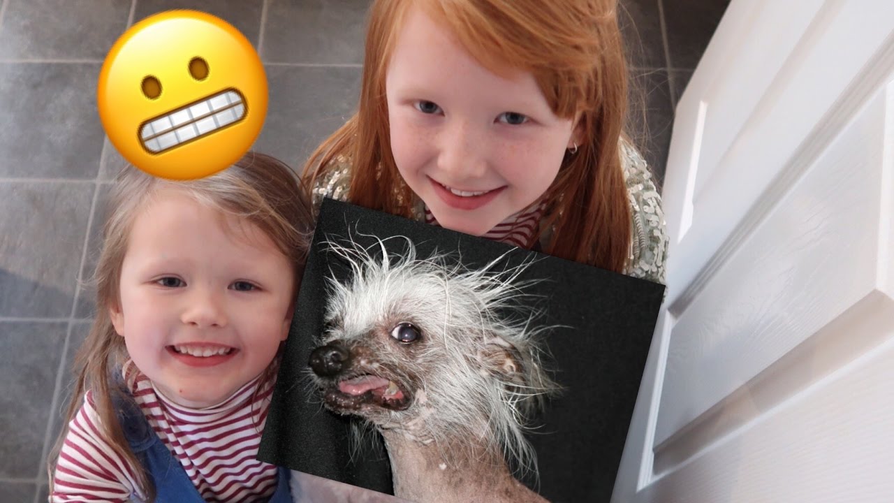 OMG WHAT HAPPENED TO PRINNY!! | VLOGMAS DAY 22 - YouTube