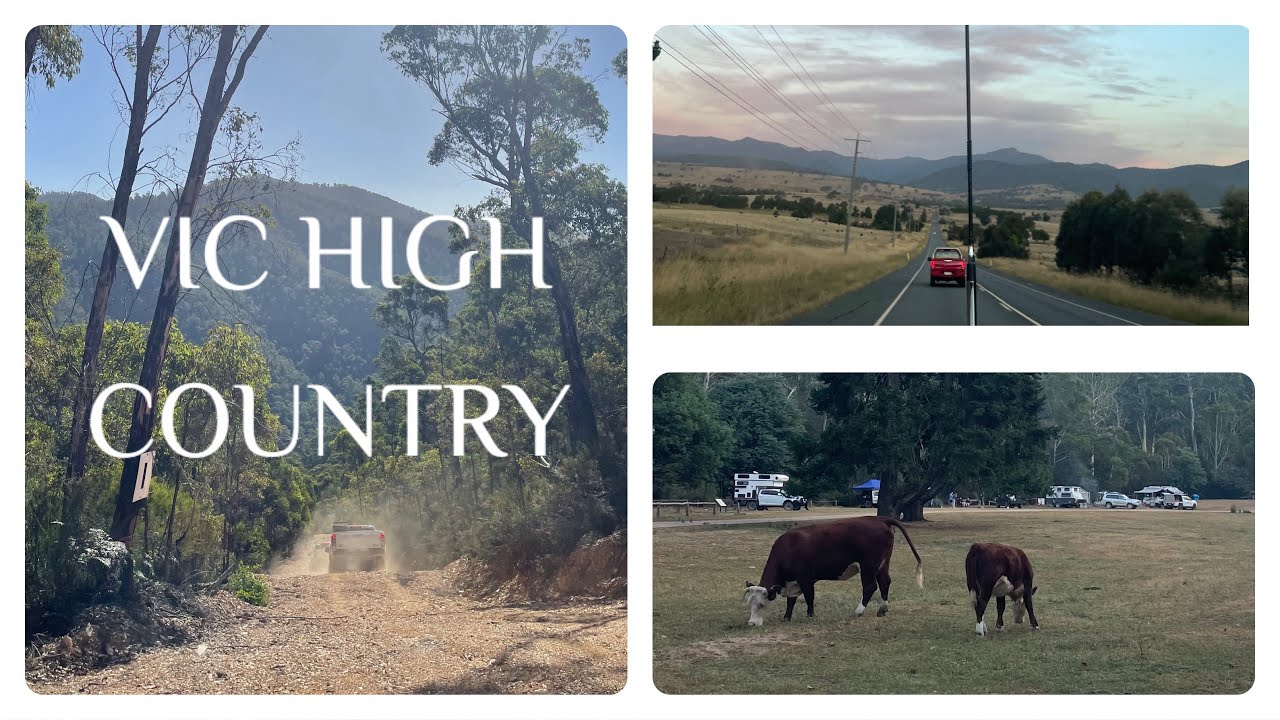 VIC HIGH COUNTRY 🌎 - short video - YouTube