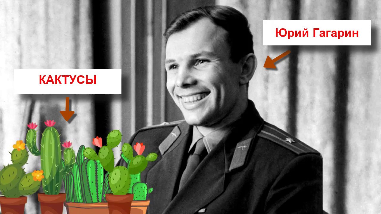 Learn Russian - Hobbies of Great Russians #GreatRussians #hobbies # ...