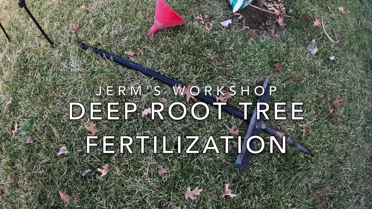 Grow Bigger Healthier Trees with this Deep Root Tree Fertilization ...