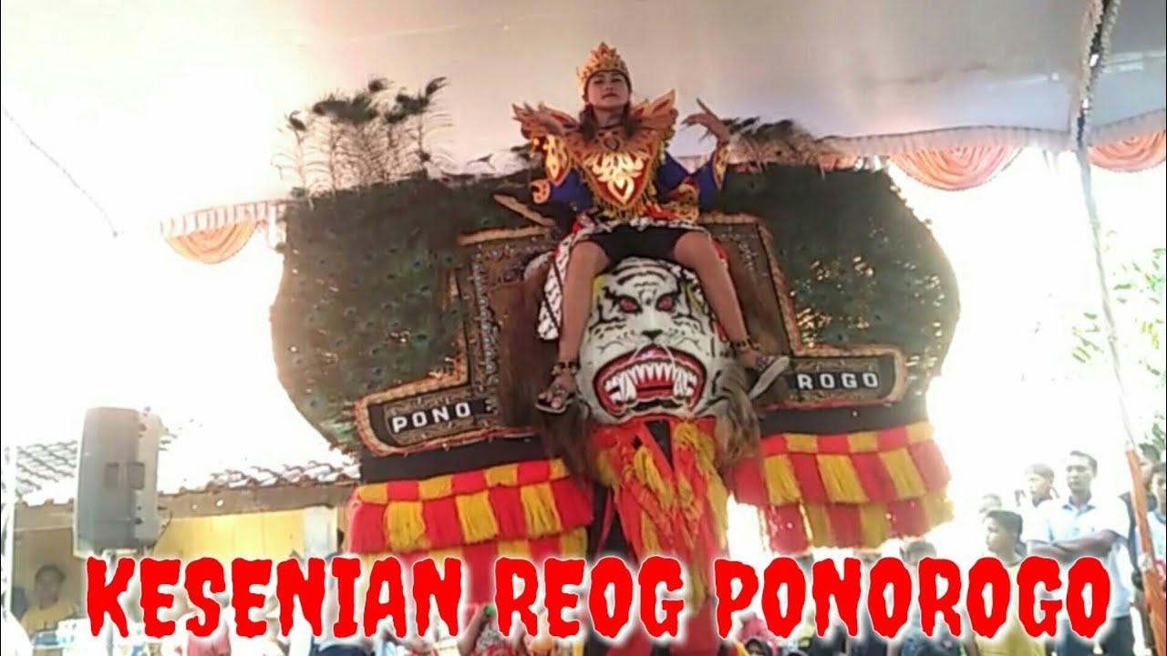 KESENIAN REOG PONOROGO || SANGGAR SENI BARONGAN WAHYU AJI JOYO - YouTube