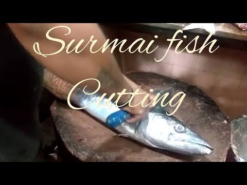 Larg Size Surmai Fish Cutting l Full HD 1080P सुरमई कटिंग - YouTube