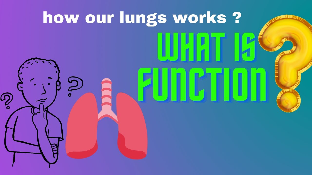 HOW LUNGS WORK ? WHAT IS THE MECHANISM BEHIND IT ??|| RESPIRATORY ...
