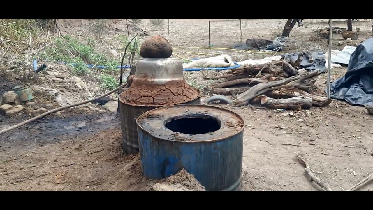 El Bacanora es un destilado originario del estado de Sonora, México ...