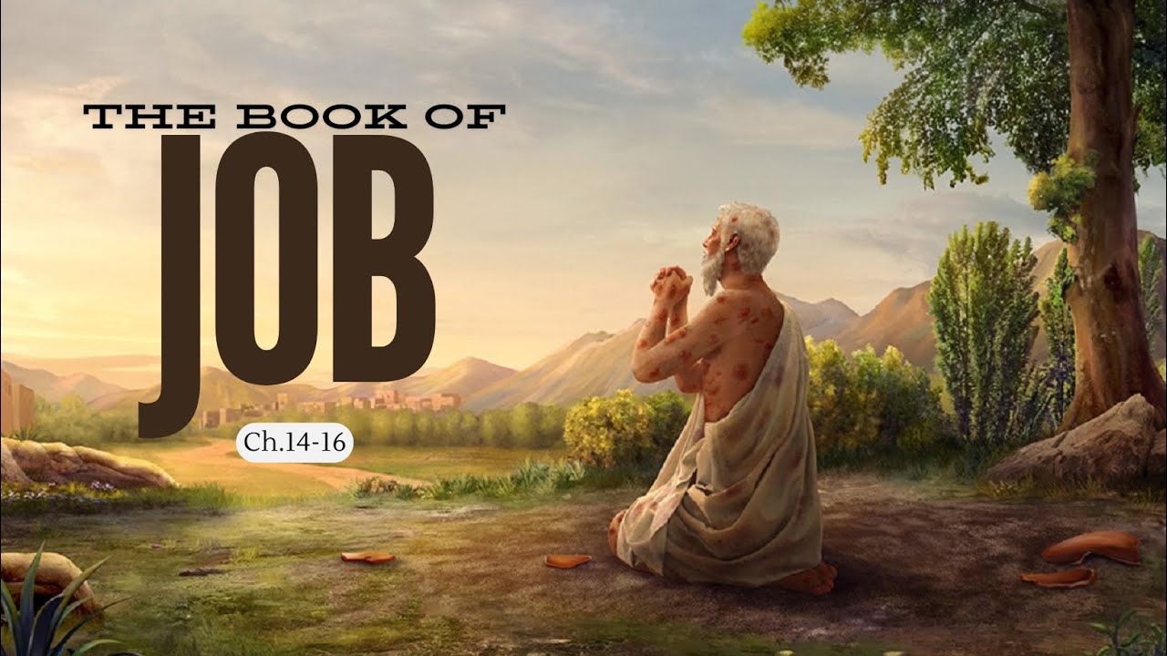 The Book of Job 14-16 | The Bible Through Time - YouTube