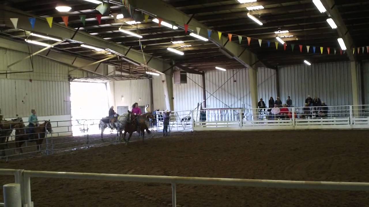 Kansas State Fair Barrel Racing 2014 with Ricki - YouTube
