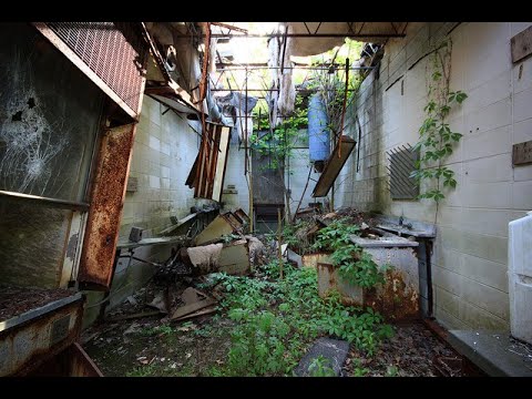 NATIONAL LEAD COMPANY - YouTube