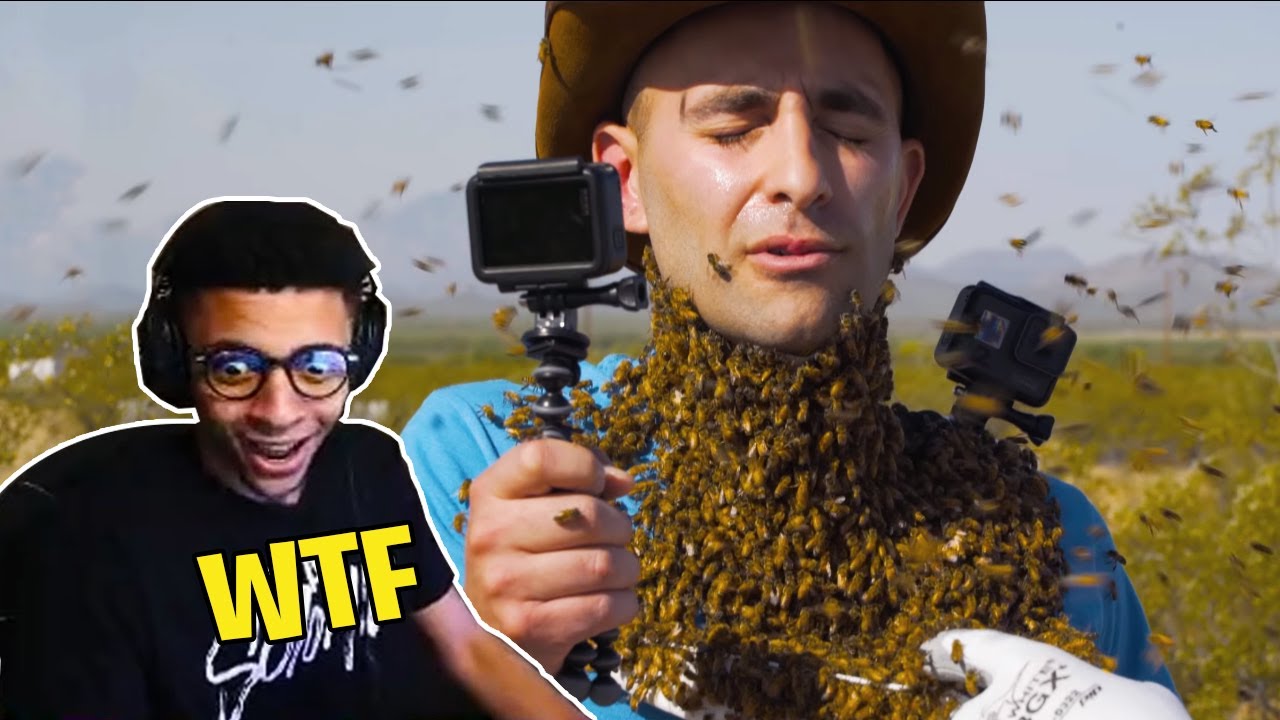TSM Myth Reacts To Bee Beard GONE WRONG! - YouTube