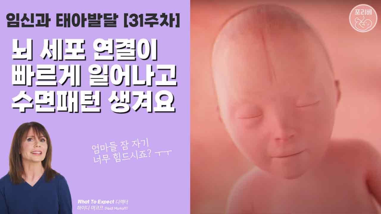 임신과 태아발달 시리즈 31 "뇌 세포 연결이 빠르게 일어나고 수면패턴 생겨요~" #임신31주차 - YouTube