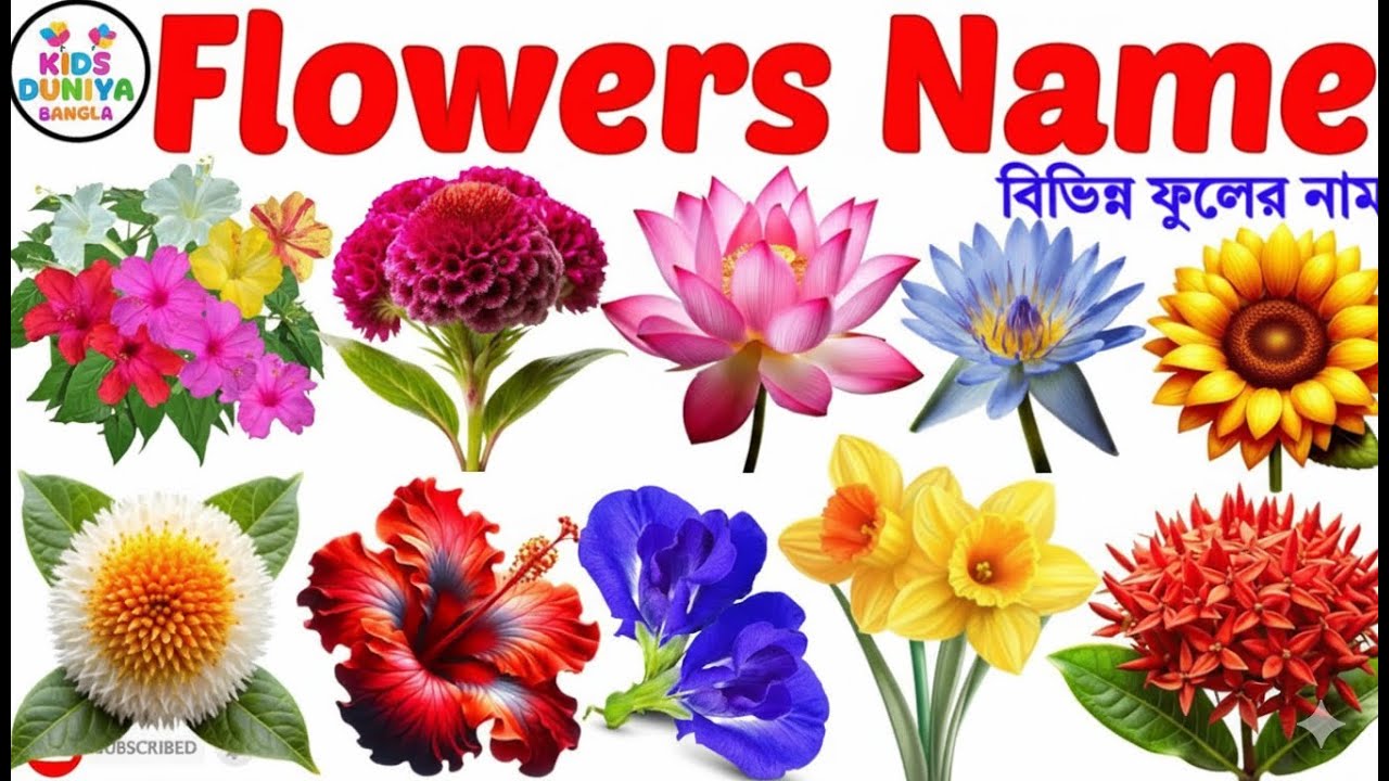 Flowers Name | Name of Flowers | Flowers name of Bengali and English ...