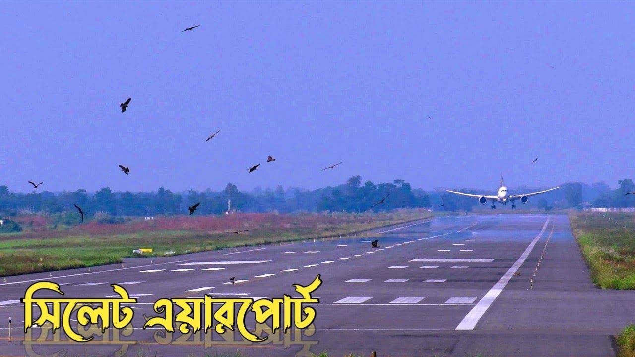 LOT OF BIRDS ON THE RUNWAY DURING PLANE LANDING IN SYLHET AIRPORT - YouTube