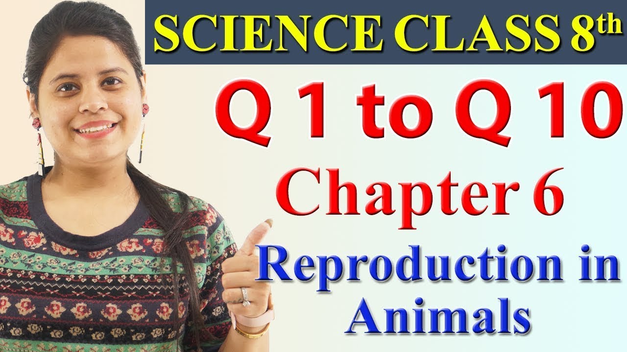 Q 1 to Q 10 - Chapter 6 - Reproduction in Animals - Science Class 8 ...