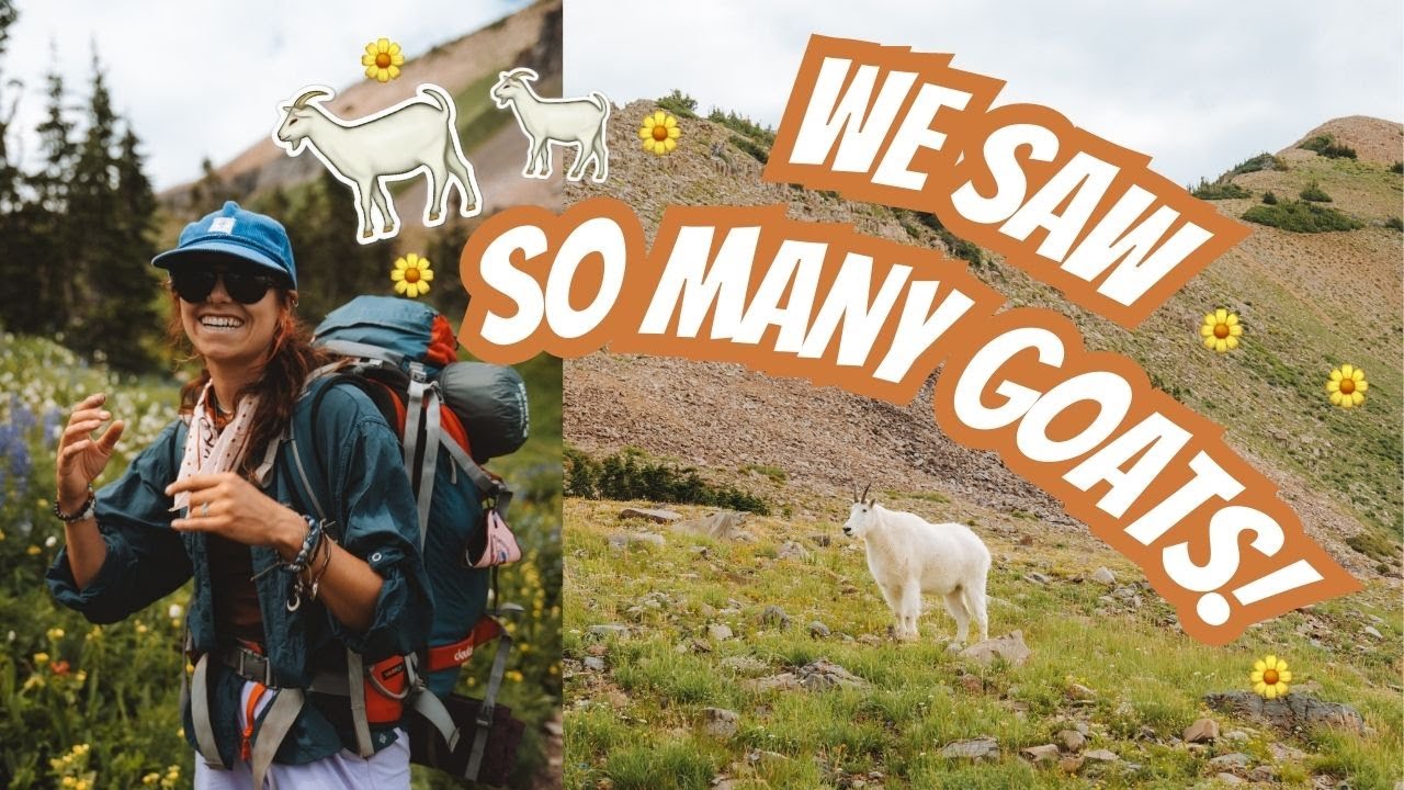 Overnight Backpacking Trip To A Lake Surrounded By Goats - YouTube