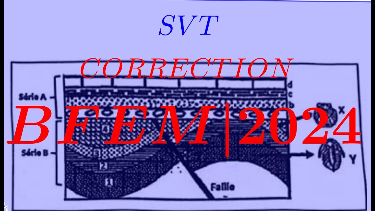 🔥 Correction Complète SVT BFEM 2024 | Tous les Exos Détaillés + Astuces pour Réussir ! - YouTube