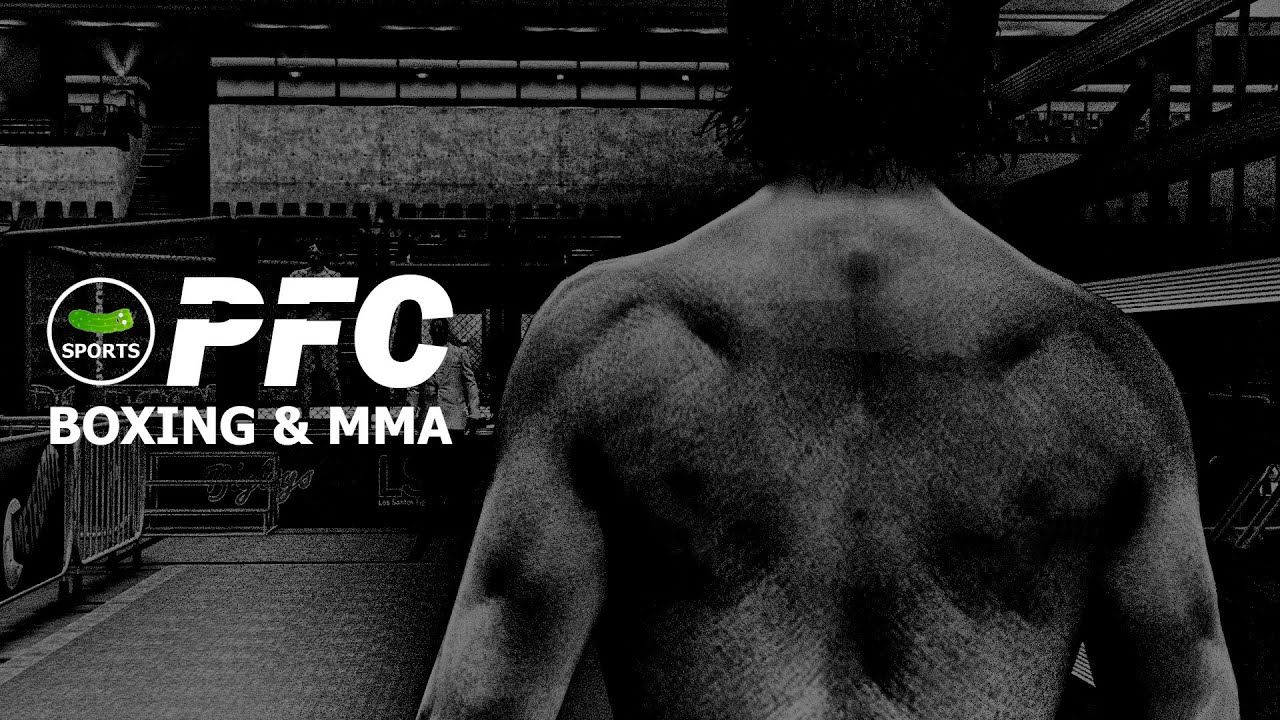 Pickle's Boxing & MMA System | Custom Fight Mechanics, Broadcast-style ...