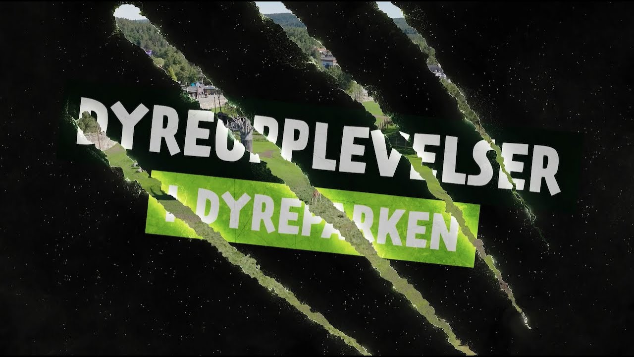 Dyreopplevelser i Dyreparken - kun for bedrifter og grupper! - YouTube