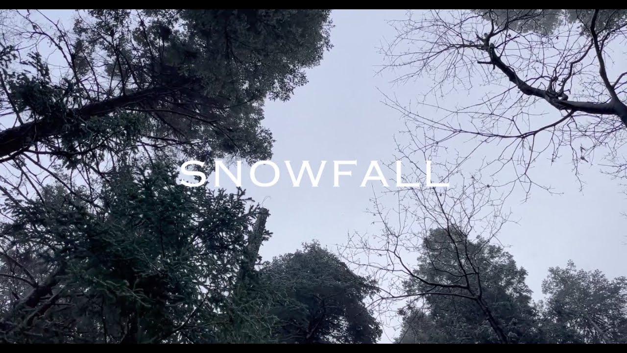 TAL Movie: Snowfall - YouTube