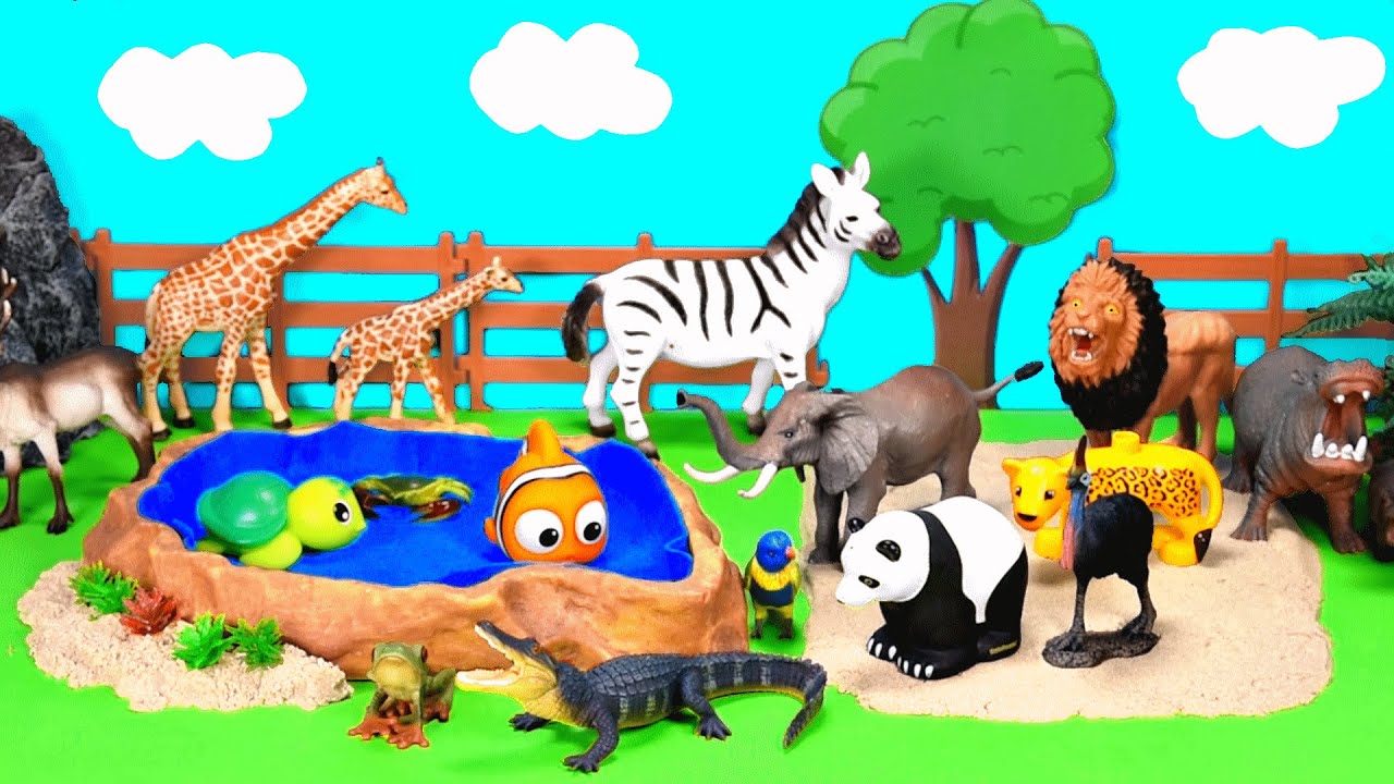 Zoo Animals In the Wild | Learn Animal Names - YouTube
