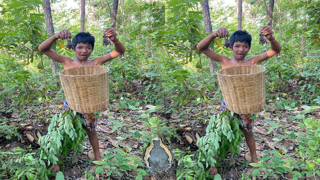 Primitive life-Jungle man pick wild fruits and catch kind of toads in ...