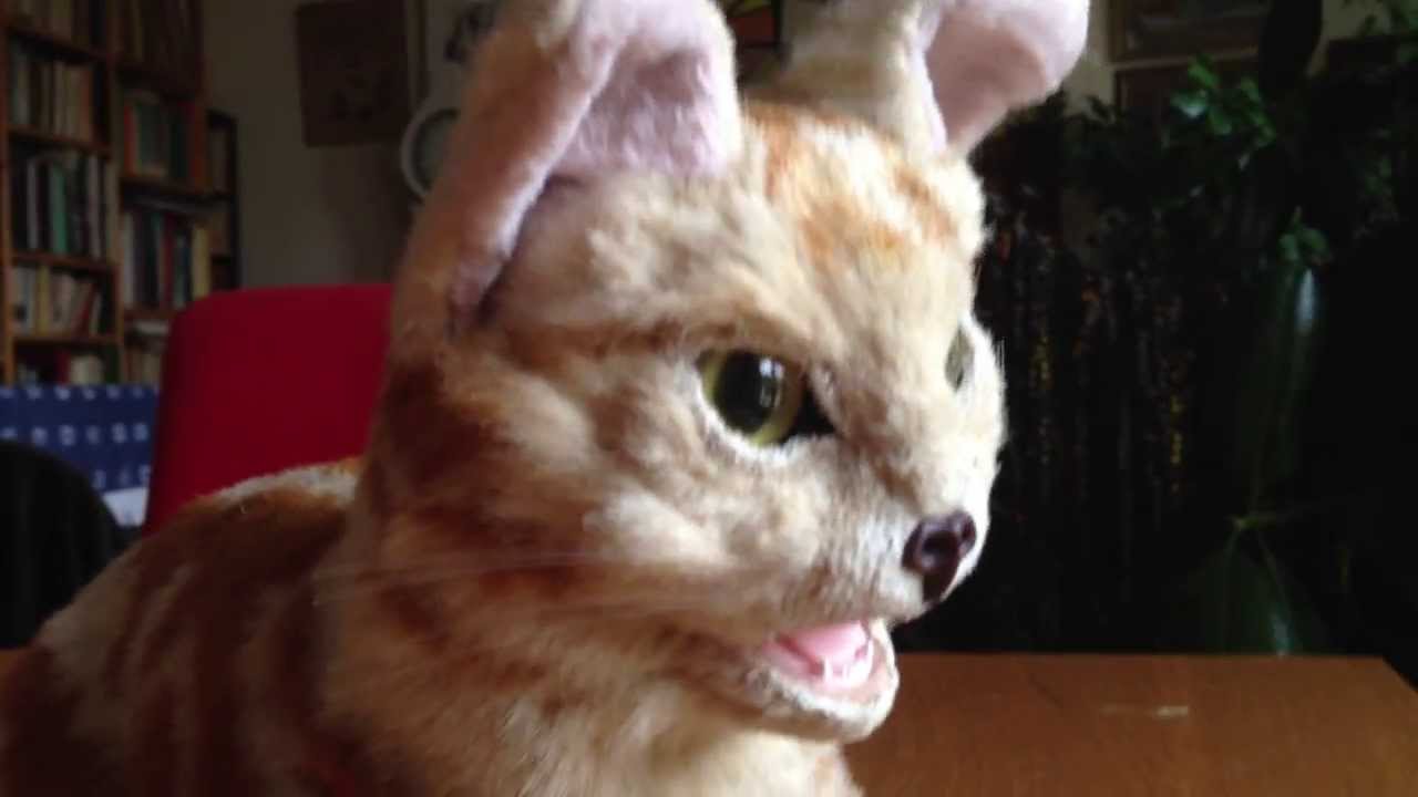 NeCoRo Red Tabby robotic cat from Japan - YouTube