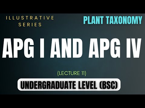 APG I and APG IV || Features || Angiosperm Phylogeny Group || Taxonomy ...