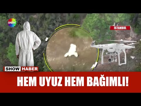 Torbacının 'Uyuz' müşterisi!